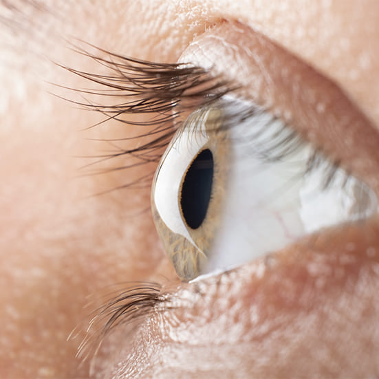 Córnea: Entenda As Condições E Tratamentos